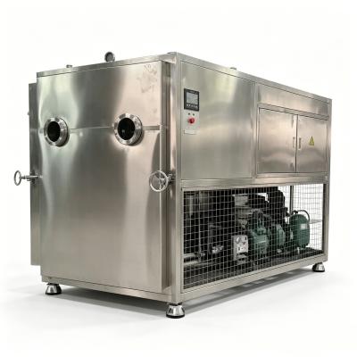 China Vacuum Degree ≤10Pa Food Vacuum Freeze Dryer Featuring two-stage rotary vane pump Refrigeration System Ideal for Food Preservation and Drying for sale