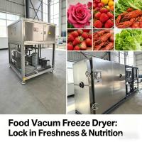 China 100kg batch Food Vacuum Freeze Dryer Incorporating 35KW Installation Power 2600Kg Weight Engineered for Food Dehydration for sale