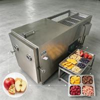 China Chamber Size 12700 2600 3300mm Industrial Freeze Dryer With Temperature Range Minus 50°C To Plus 80°C And Drying Time 20 24hours For Processing for sale
