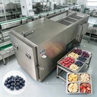 China PLC Control System Industrial Freeze Dryer Equipped with Automatic Operation Mode and Vacuum Level Less Than 13Pa Ensuring Freeze Drying for sale