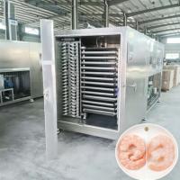 China Chamber Size 12700 2600 3300mm freeze dryer machine designed for industrial freeze drying applications noise level 70dB for sale