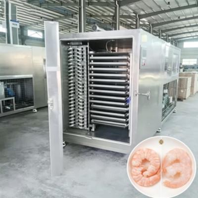 China Chamber Size 12700 2600 3300mm freeze dryer machine designed for industrial freeze drying applications noise level 70dB for sale