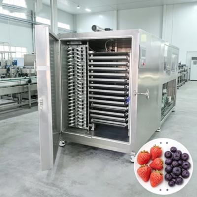 China Chamber Size 12700 2600 3300mm Industrial Freeze Dryer Including PLC Control System and Drying Time 20 to 24hours Designed for Operation for sale