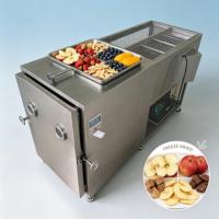 China PLC Control System Vacuum freeze-drying machine designed to achieve Vacuum Level under 13Pa for freeze drying processes for sale