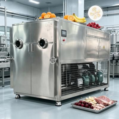 China 10KwH Power Consumption Vegetable Freeze Dryer 100Kg Batch Capacity 240V 380V 3PH Engineered for Food Drying Performance for sale
