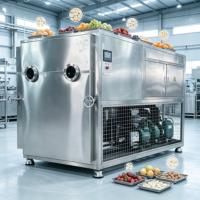China Temperature Range Minus 50 to Plus 50 Degree Vegetable Freeze Dryer with PLC Control and Overall Size 3800 by 1700 by 2000 Millimeters for sale