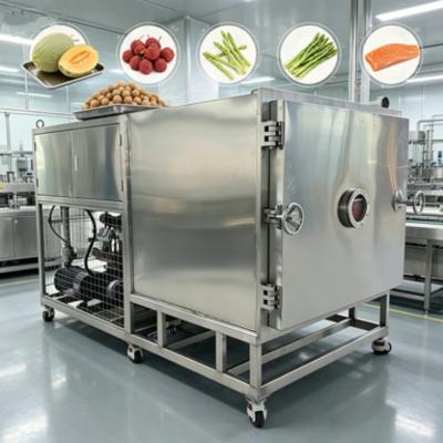 China Vacuum limit ≤13Pa Vegetable freeze dryer 1600Kg freeze drying machine for vegetable dehydration and long term storage solutions for sale