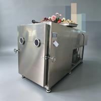 China Door To Door Vegetable Freeze Dryer Overall Size 3800 1700 2000 Mm Tray Size 1280 600 30mm Or Customize Designed For Freeze Drying for sale