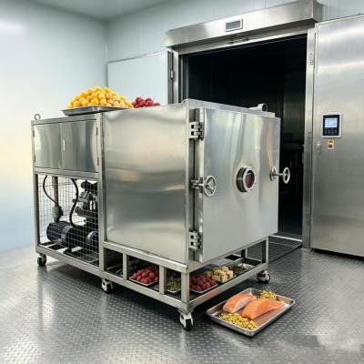 China Chamber size 1800 1700 1300mm Vegetable freeze dryer offering 100Kg batch capacity tailored for vegetable drying solutions for sale