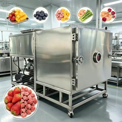 China 13 Layers Or Customization Vegetable Freeze Dryer Vacuum Limit 13Pa Capacity 1600Kg Suitable For Industrial Food Processing for sale