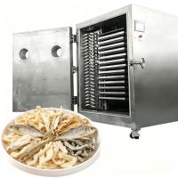 China PLC Control System Vegetable Freeze Dryer with 304 Stainless Steel Tray Material Providing Performance and Easy Operation for sale