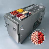 China 10KwH Power Consumption Vegetable Freeze Dryer Including TwoStage Rotary Vane Vacuum Pump Designed for and Vegetable Drying for sale