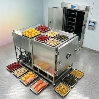 China 10KwH Power Consumption Vegetable Freeze Dryer Including TwoStage Rotary Vane Vacuum Pump Designed for and Vegetable Drying for sale