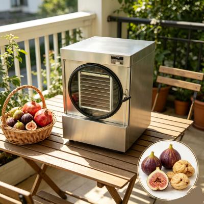 China Temperature Range Minus 50 Celsius To Plus 90 Celsius Home Freeze Dryer With LCD Display Suitable For Food Preservation And Laboratory for sale