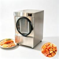 China Two-stage Baosi Vacuum Pump Mini freeze dryer suitable for medium scale freeze drying offering compact size and operation for sale