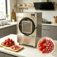 China Freeze Dry Cycle 24 to 30 Hours Home Freeze Dryer Equipped Refrigeration System Danfoss Compressor and Two stage Baosi Vacuum Pump for sale