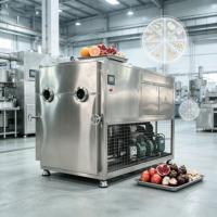 China Overall size 3800 1700 2000 Mm Vegetable Freeze Dryer Including Air Cooling System and 13 Layers or Customization Designed for Food Preservation for sale