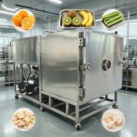 China Overall size 3800 1700 2000 Mm Vegetable Freeze Dryer Including Air Cooling System and 13 Layers or Customization Designed for Food Preservation for sale