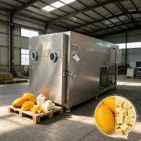 China Automatic Operation Mode Vegetable Freeze Dryer Using Electric Heating and Silicon Technology for Vegetable Preservation for sale