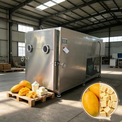 China Automatic Operation Mode Vegetable Freeze Dryer Using Electric Heating and Silicon Technology for Vegetable Preservation for sale