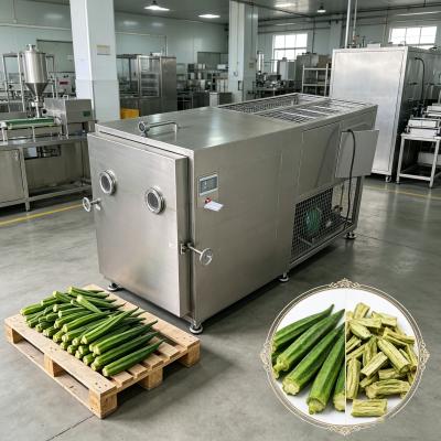 China 13 Layers Or Customization Vegetable Freeze Dryer With Tray Material 304 Stainless Steel Temperature Range Minus 50 To Plus 50 Celsius for sale