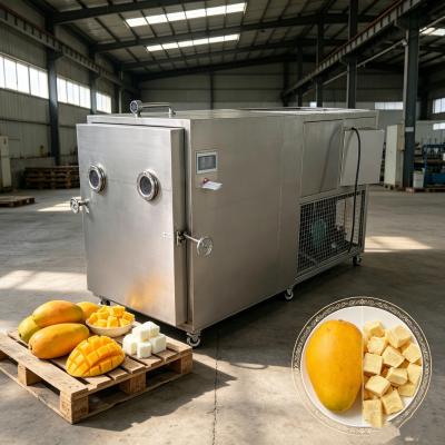 China Two stage Rotary Vane Vacuum Pump Vegetable Freeze Dryer Chamber Size 1800 1700 1300mm Temperature Range minus 50 to plus 50 Celsius for sale