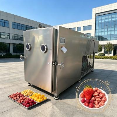 China 100Kg batch Vegetable Freeze Dryer with Temperature Range minus 50 plus 50 degrees Celsius and Two stage Rotary Vane Vacuum Pump for sale
