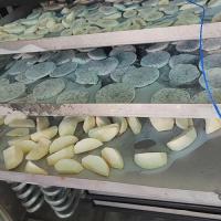 China 13 Layers Vegetable freeze dryer with overall size 3800 1700 2000 mm designed to maintain vegetable nutrition and flavor for sale