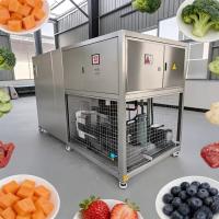 China 304 Stainless Steel Tray Material Vegetable Freeze Dryer with Tray Size 1280 600 30mm and 13 Layers Customizable Options for sale