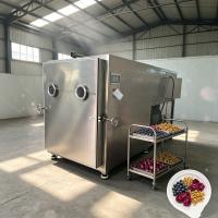 China Overall size 3800 1700 2000 Mm Vegetable freeze dryer with Air Cooling system designed to enhance vegetable drying efficiency for sale