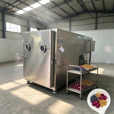 China Overall size 3800 1700 2000 Mm Vegetable freeze dryer with Air Cooling system designed to enhance vegetable drying efficiency for sale