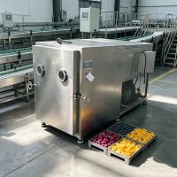 China Two stage Rotary Vane Vacuum Pump Vegetable Freeze Dryer EXW Automatic Operation Mode Designed for Dehydration and Extended Shelf Life for sale