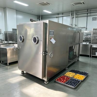 China 18 to 22 hours batch freeze drying time Vegetable freeze dryer featuring 240V 380V 3PH power supply designed for vegetable drying for sale