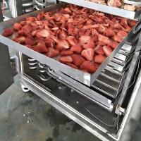 China 18 to 22 hours batch freeze drying time Vegetable freeze dryer featuring 240V 380V 3PH power supply designed for vegetable drying for sale