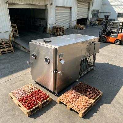 China Electric Heating Silicon Vegetable Freeze Dryer Featuring 10KwH Power Consumption and Chamber Size 180017001300mm for Freeze Drying for sale