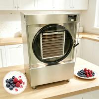 China LCD Display Home Freeze Dryer Electric Heating 215kg Capacity Suitable for Food Preservation and Laboratory for sale
