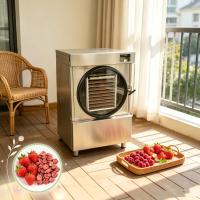 China Medium household freeze dryer featuring temperature range minus 50 degrees Celsius to plus 90 degrees Celsius designed for moisture removal for sale