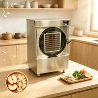 China Electric Heating Home Freeze Dryer Machine Medium Volume Appliance Suitable for Preserving Fruits Vegetables and Meat for sale