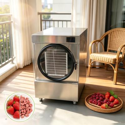 China 20 to 25kg Capacity Mini Freeze Dryer Built from SUS304 Stainless Steel Ensuring Long Lasting Performance and Reliability for sale