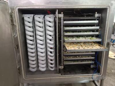 China 100kg Batch Dragon Fruit Freeze Dryer Industrial Vacuum Freeze Drying Machine for Tropical Fruit Chips for sale