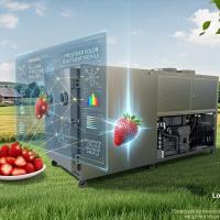 China 100kg Batch Industrial Fruit Freeze Dryer Machine Vacuum Lyophilizer for Strawberry Mango Durian Processing for sale