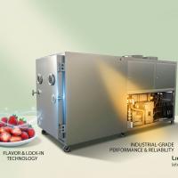 China Industrial Herb Freeze Dryer Machine 100kg Batch Vacuum Freeze Drying Equipment for Tea Leaves Spices for sale