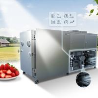China 100kg Batch Strawberry Freeze Dryer Machine Industrial Vacuum Lyophilizer for Freeze Dried Fruit Snacks for sale