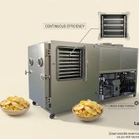 China Industrial Durian Freeze Dryer 100kg Batch Vacuum Lyophilizer for Freeze Dried Durian Processing for sale