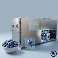 China 100kg Batch Blueberry Freeze Dryer Machine Industrial Vacuum Lyophilizer for Berry Snack Processing for sale