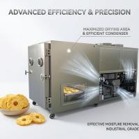 China 100kg Batch Pineapple Freeze Dryer Machine Commercial Vacuum Lyophilizer for Pineapple Ring Processing for sale