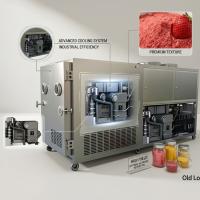 China 100kg Batch Fruit Powder Freeze Dryer Machine Industrial Vacuum Lyophilizer for Puree Ingredient Drying for sale