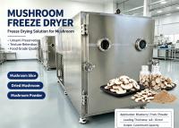 China Food Vacuum Freeze Dryer Utilizing SUS304 Stainless Steel Perfect for Low Pressure and Temperature for sale