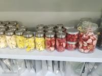 China Food Vacuum Freeze Dryer Utilizing SUS304 Stainless Steel Perfect for Low Pressure and Temperature for sale