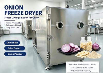 China Intelligent PLC system Food Vacuum Freeze Dryer featuring Electric Heating Silicon Transfer Heat and 65KW Installation Power for Operation for sale